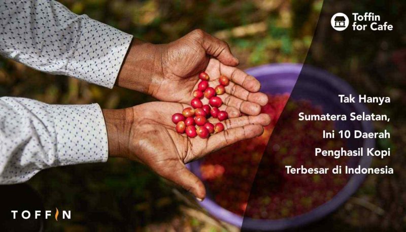 Tak Hanya Sumatera Selatan, Ini 10 Daerah Penghasil Kopi Terbesar di Indonesia - Toffin Insight